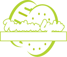 Lighted Rattle Reel – Northern Lights Rattle Reels